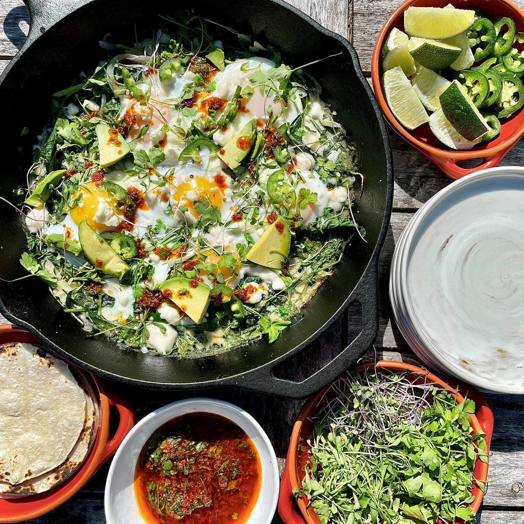 Microgreens Recipes – Planted Detroit